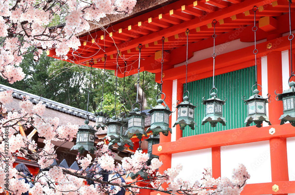 Ancient pavilion, bronze lanterns and blooming sakura branches in ...