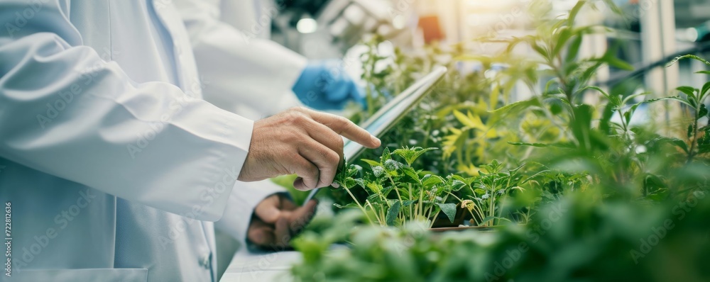 Botanist Examining Plant Growth in Modern Agricultural Research Lab ...