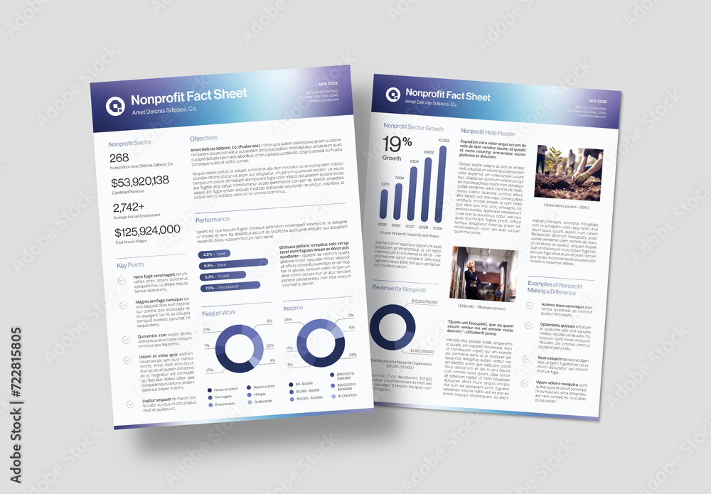 Fact Sheet Layout Stock Template | Adobe Stock