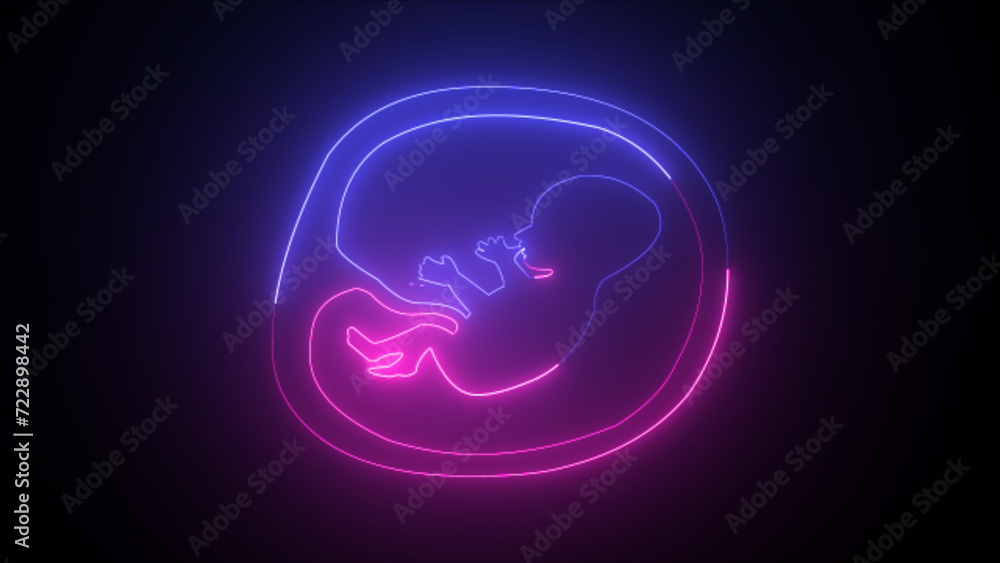 Human fetus inside the womb. Pregnancy fetal foetus development. Human ...