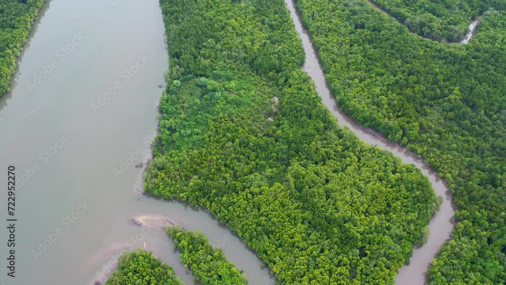 Aerial drone of green mangrove forest in ark shot, 4K panning shot ...