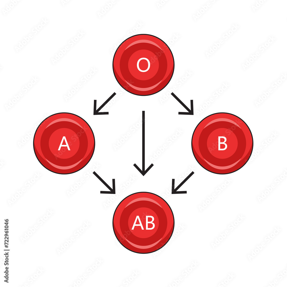Red blood cell compatibility chart diagram hand drawn schematic raster ...