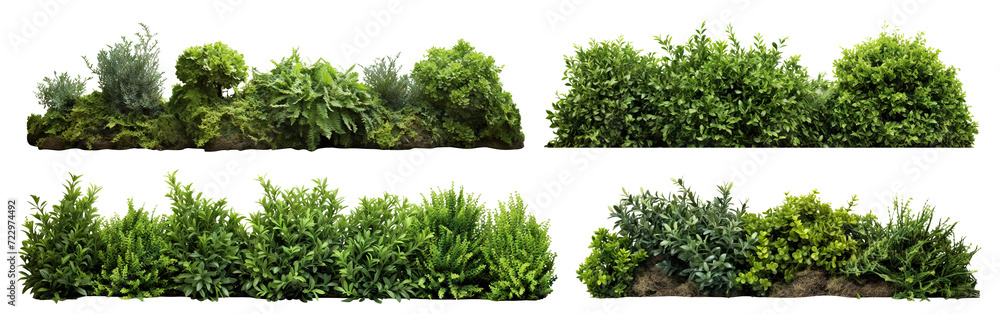 Set of lush garden bushes cut out Stock Photo | Adobe Stock