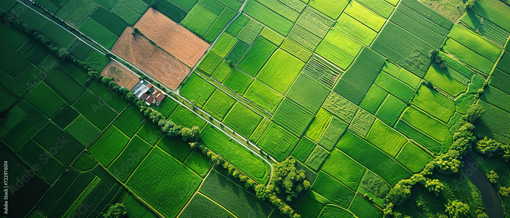Banner of aerial satellite view of cultivated agricultural farming land ...
