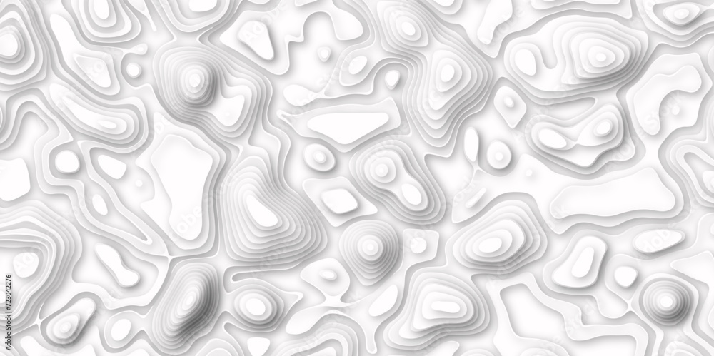 Abstract white pattern topography vector background. white topography ...