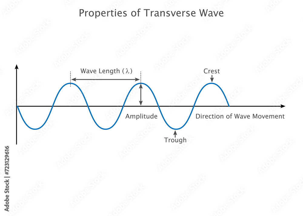 Properties of transverse wave, this waves oscillate perpendicular to ...