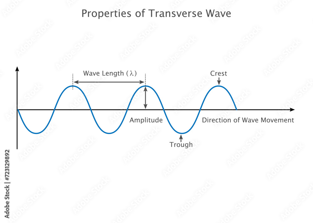 Transverse waves exhibit perpendicular oscillations, propagating energy ...