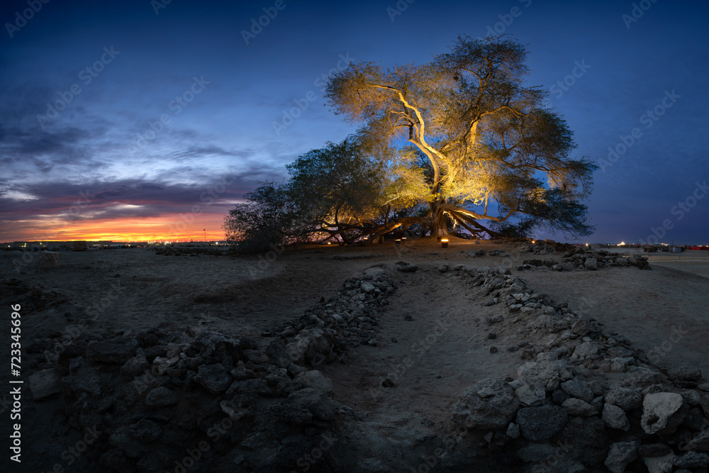 Beautiful sunrise view from Tree of Life, Bahrain. The Tree of Life in ...