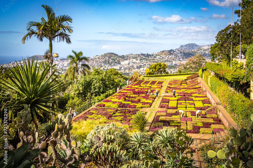 botanical garden in funchal, monte, madeira, jardim botanico madeira ...