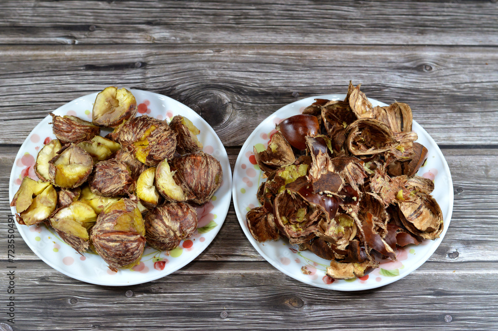 Chestnuts after shell removal, the deciduous trees and shrubs in the ...