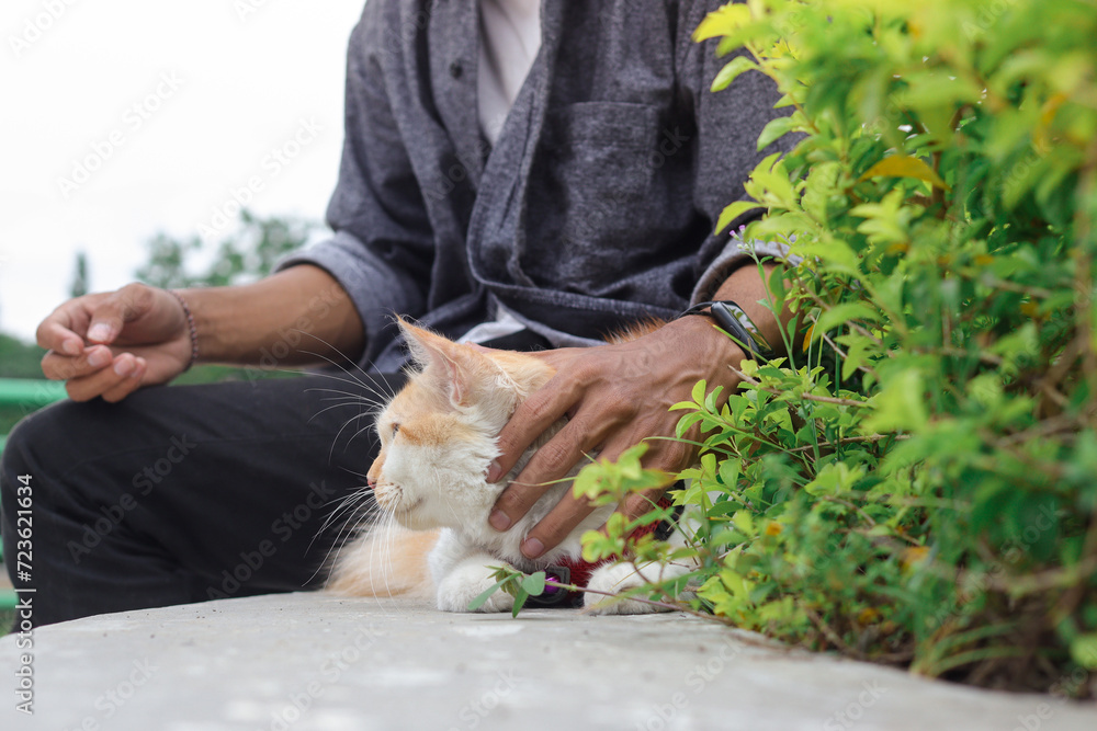 Outdoor portrait of Asian man holding and giving gentle touch to cat ...