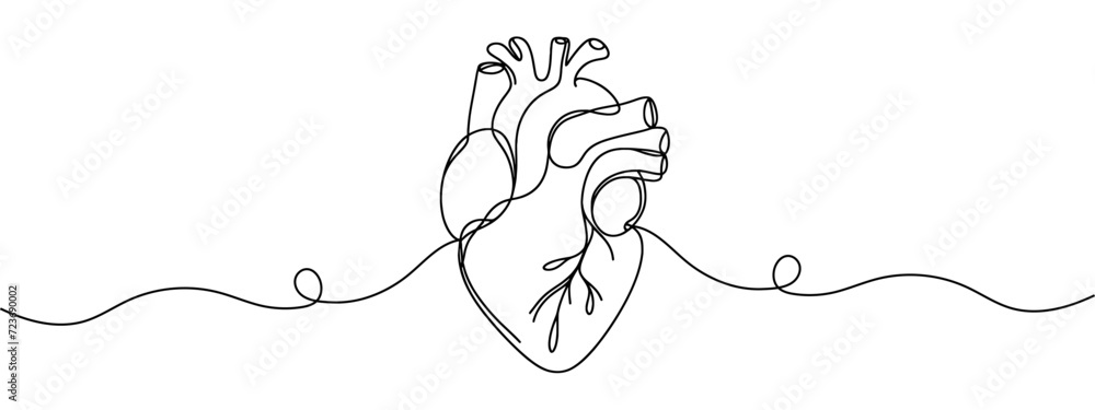 One continuous line drawing of anatomical human heart organ. Medical ...