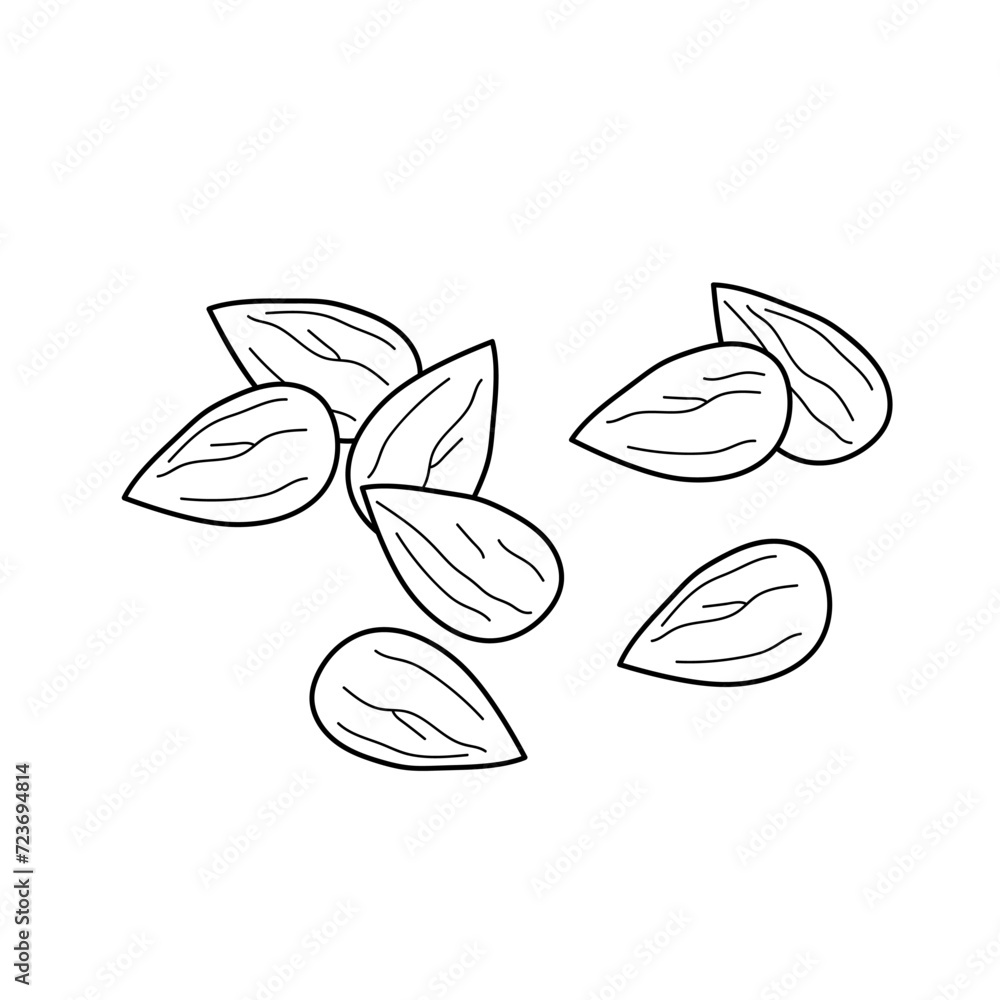 Almond. Coloring page, icon, black and white vector illustratio Stock ...