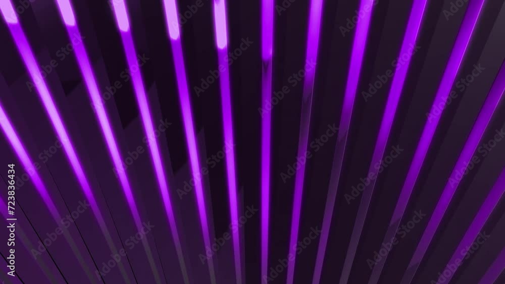 Animation Loop Purple Light Vertical Lines Wave Animation On Black ...