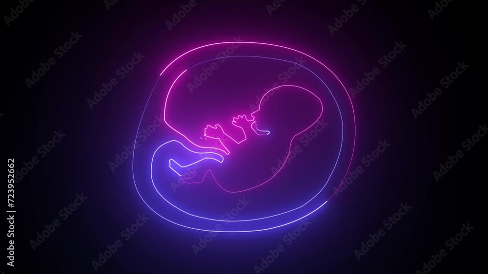 Human fetus inside the womb. Pregnancy fetal foetus development. Human ...