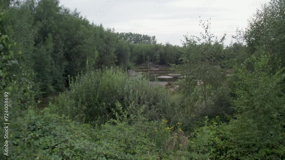 This footage reveals the raw beauty of a secluded wetland area ...