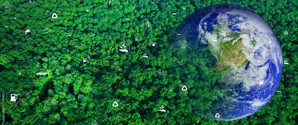 Aerial view forest with globe earth. Sustainable Development Goals ...