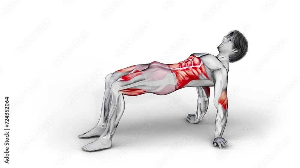 Vidéo Stock Twisting Crab Reach-3D (907)- Anatomy of fitness and ...