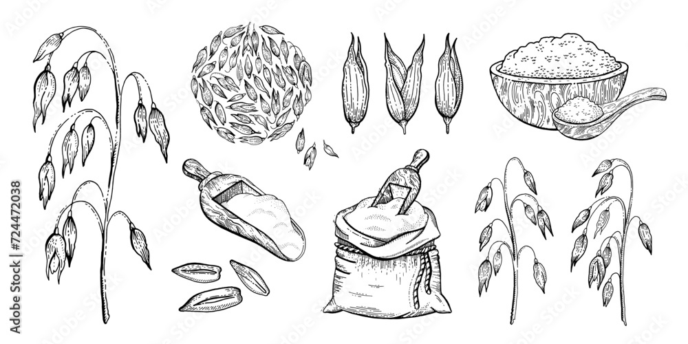 Oats sketch. Oatmeal porridge bowl with milk porridge and spoon, oat ...