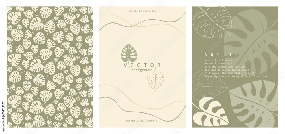 Vector illustration. Set of three posters, light monstera leaves on a ...