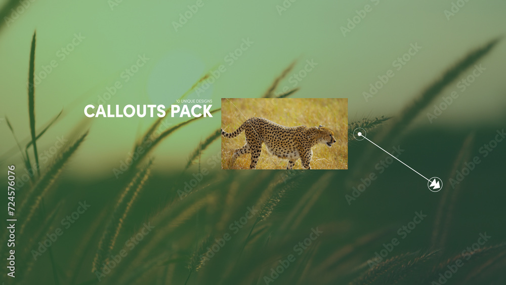 Professional Insight CallOuts Selection With Control Panels Stock ...