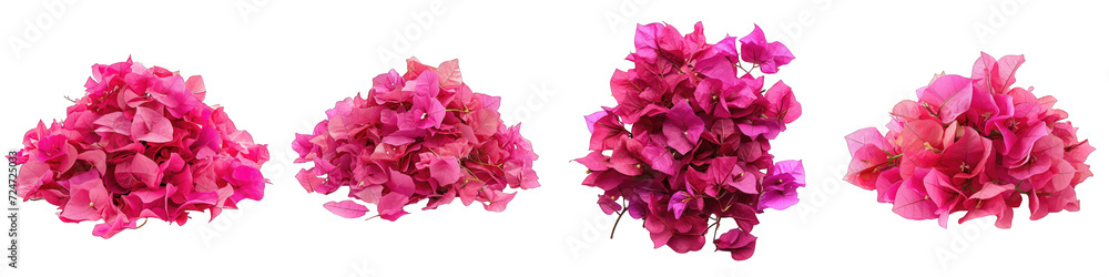Bougainvillea Flower Pile Of Heap Of Piled Up Together Hyperrealistic ...