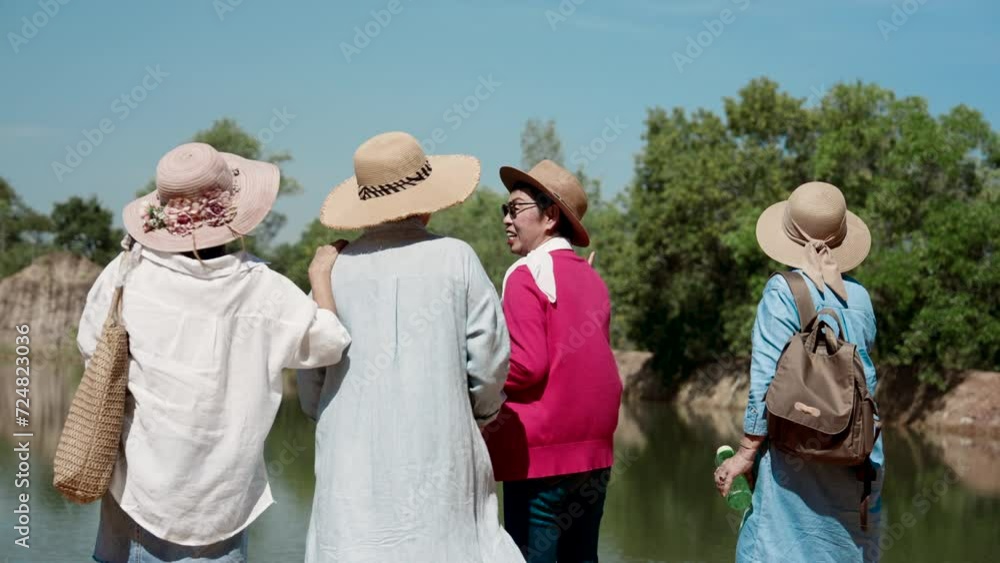 Vidéo Stock Portrait, backside scenes are four elderly women are best ...