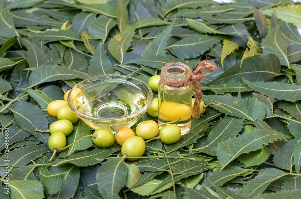 Closeup of Neem Oil or Azadirachta Indica Oil in a Glass Bottle and ...