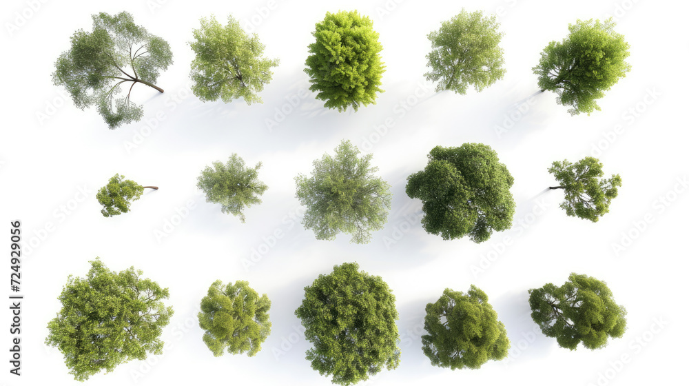 Environmental outside eco trees shapes collections isolated on ...