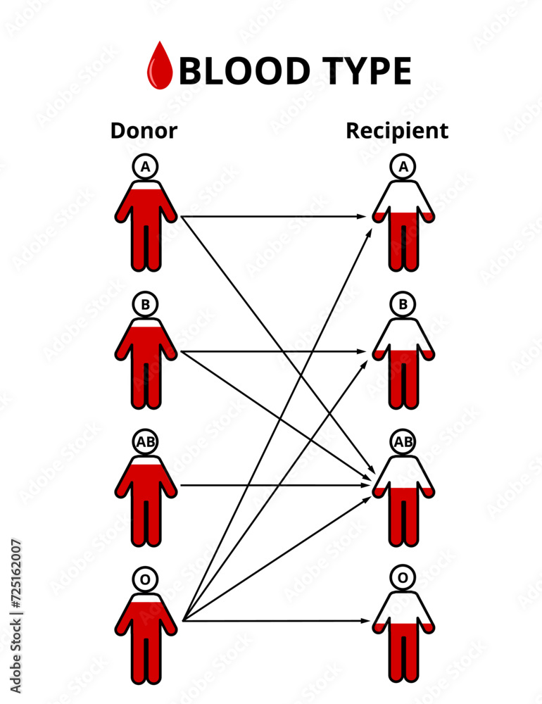 vector illustration of blood types, blood donation, blood transfusion ...