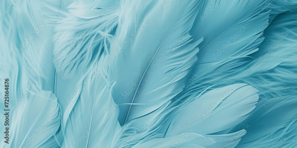 Unveil the Ethereal Majesty of Delicate Feathers: A Close-Up ...