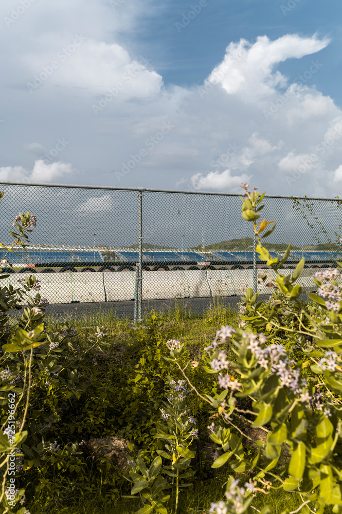 Wildflowers flourish along the fence line with Mandalika Circuit race ...