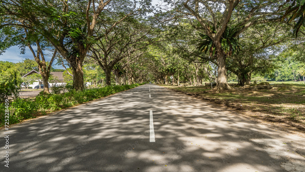 A straight asphalt road with a dividing line in the middle goes forward ...