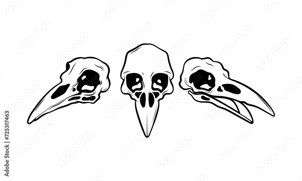 Mystical vector illustration. Crow skull on a white background. Hand ...