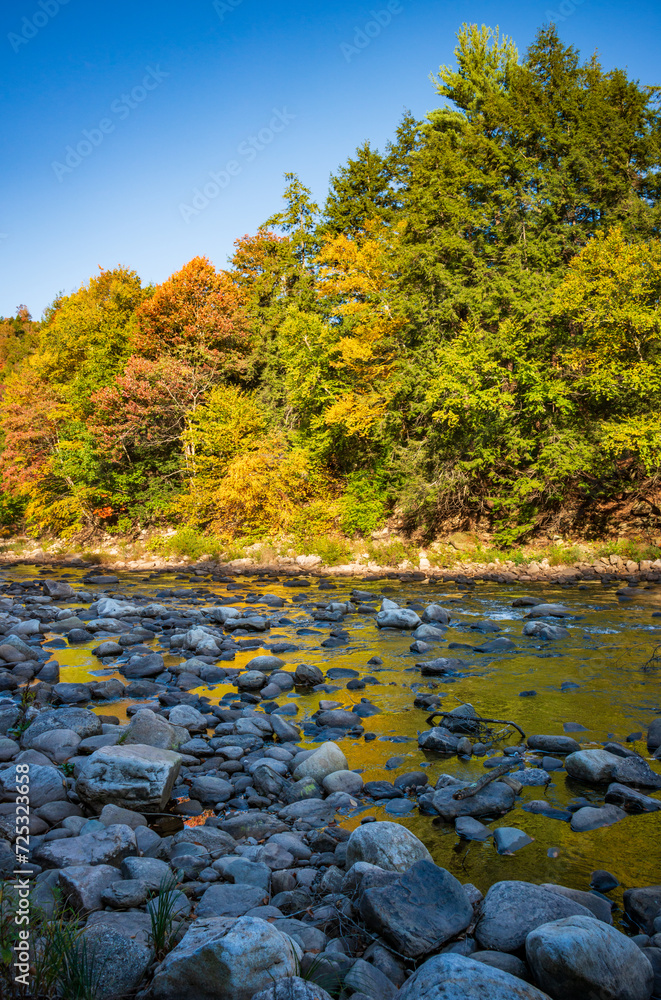 Worlds End State Park, State park in Pennsylvania Stock Photo | Adobe Stock Worlds End State Park, State park in Pennsylvania Stock Photo | Adobe Stock