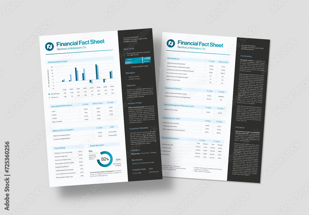Finance Fact Sheet Layout Stock Template | Adobe Stock