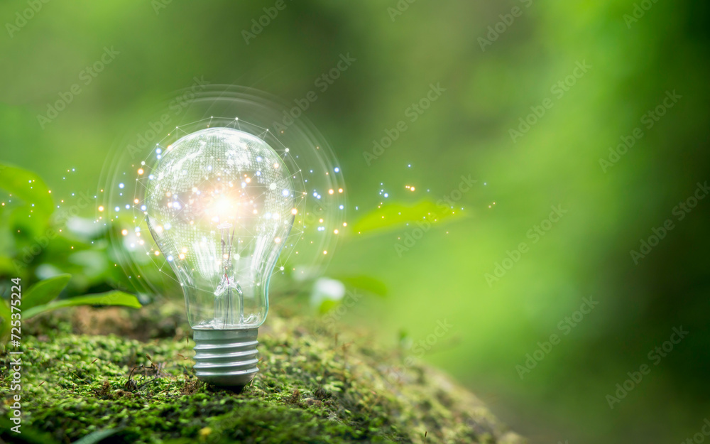 Renewable energy icon, light bulb style Renewable energy ideas for ...