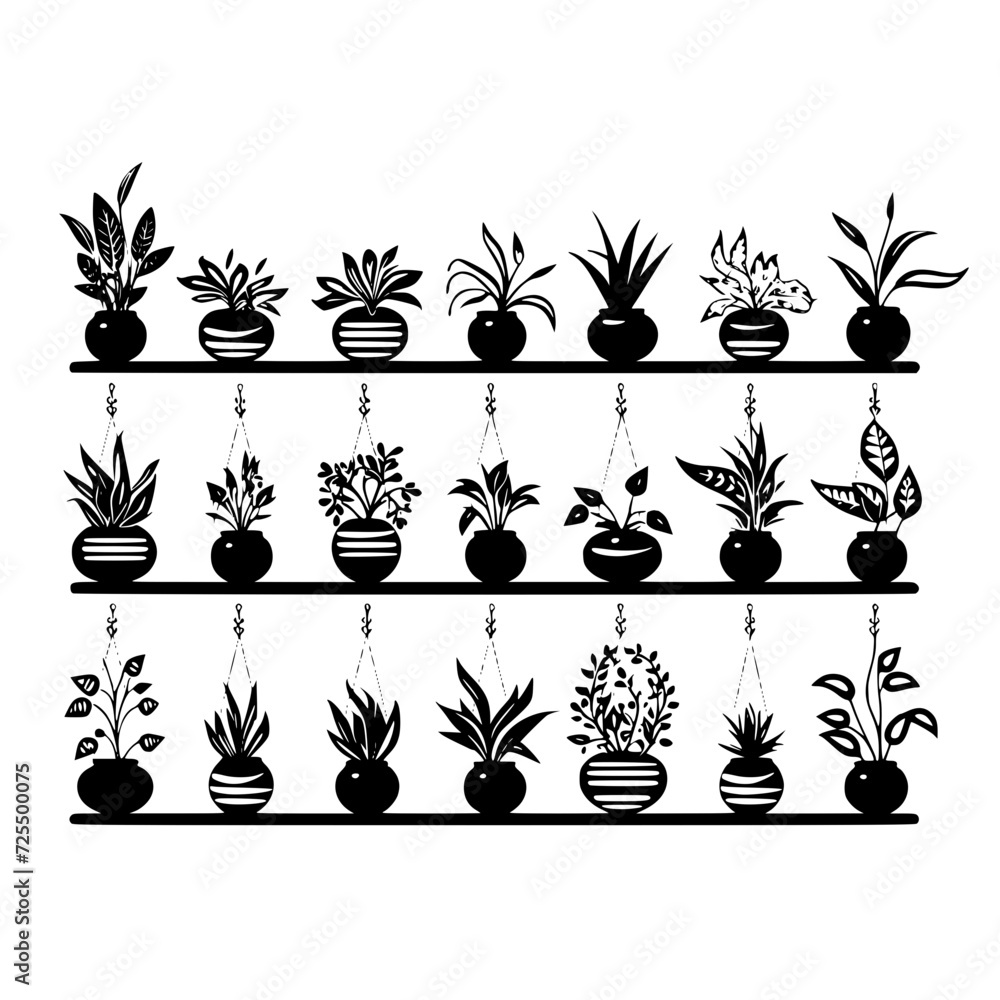 succulent svg, cactus svg, succulent png, cactus png, plant svg, cactus ...