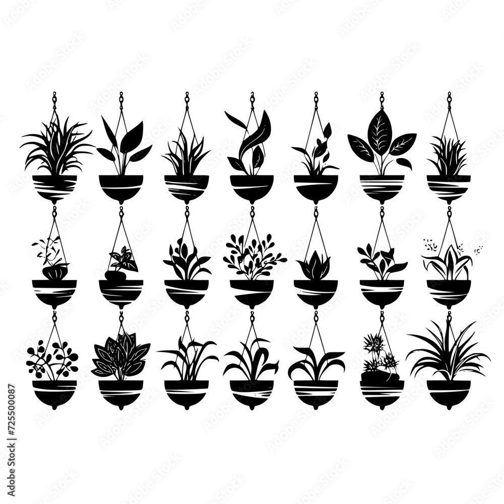 succulent svg, cactus svg, succulent png, cactus png, plant svg, cactus ...