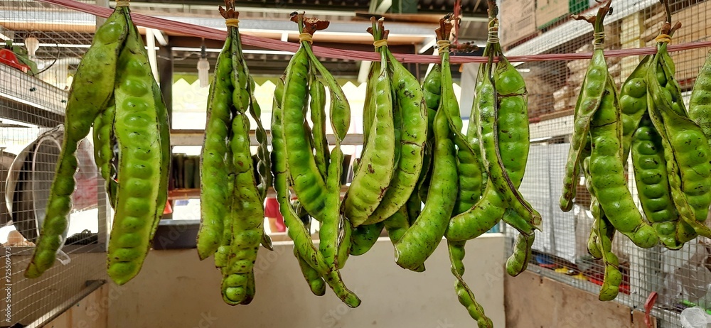 Petai or Pete or Green stink bean (Parkia speciosa) is vegetable ...