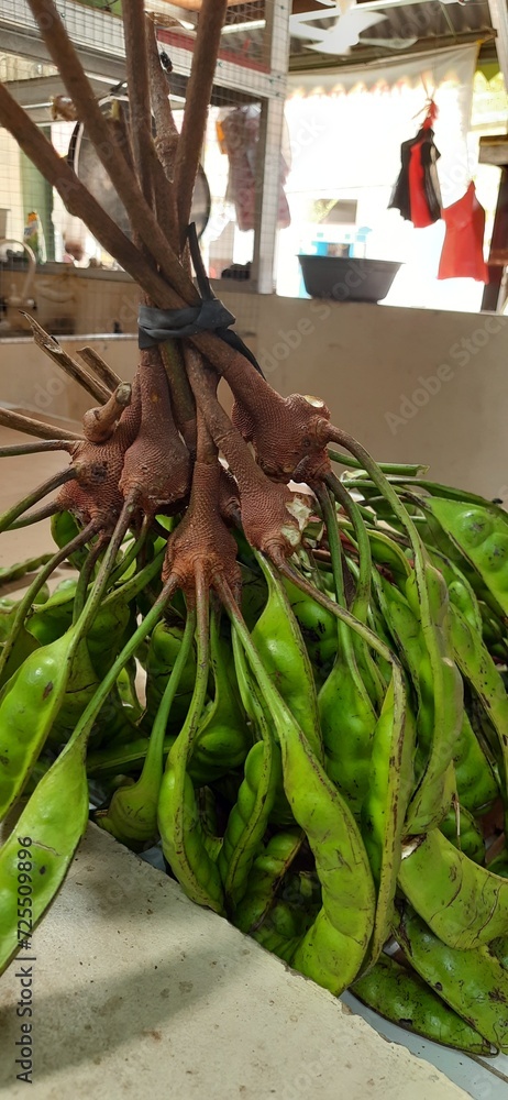 Petai or Pete or Green stink bean (Parkia speciosa) is vegetable ...