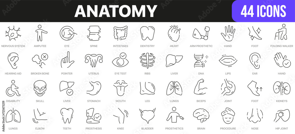 Anatomy line icons collection. UI icon set in a flat design. Excellent ...