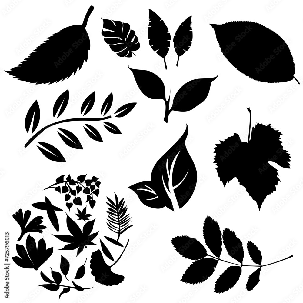 LEAF Ai, LEAVES Ai, Leaf Clipart, Leaf Ai cut files for Cricut, Branch ...