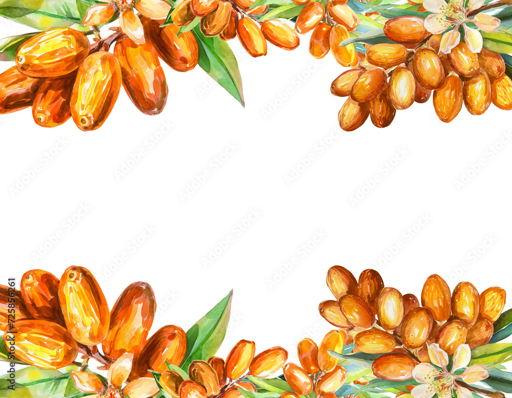 watercolor dates fruit isolated on white background, border frame fruit ...