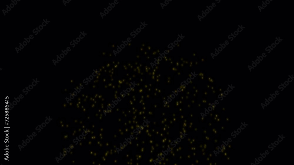 Fireworks on transparent background. Animated backgrounds for fireworks ...