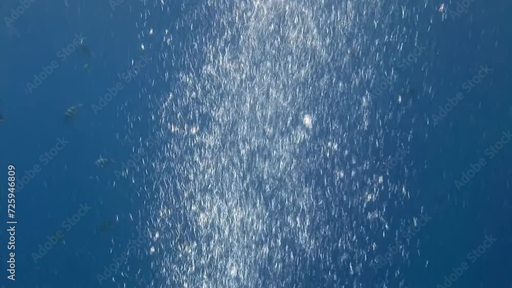 Stockvideo Bubbles in underwater ocean are fascinating phenomenon ...