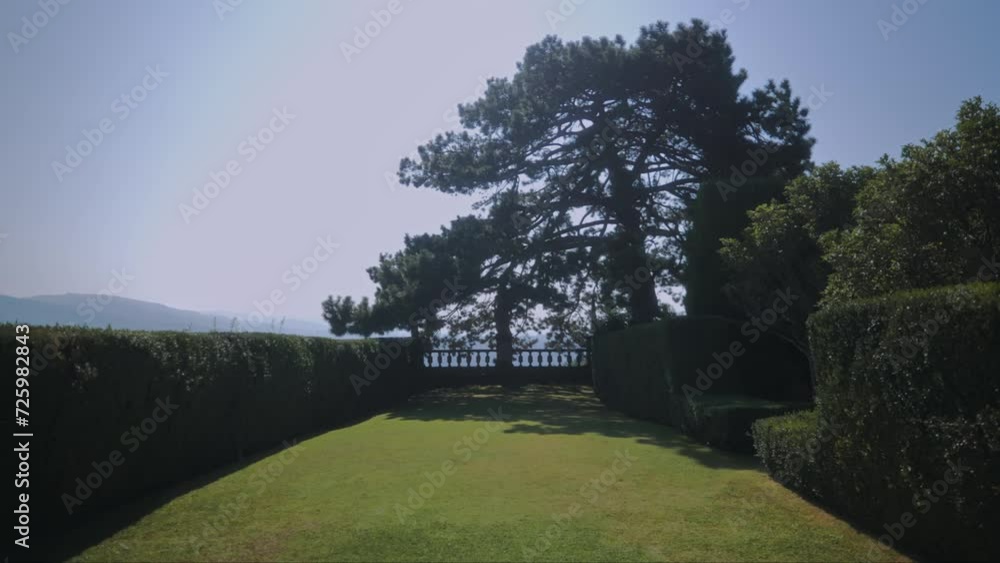 Italian Court. Villa. Manor house. Italian pine tree. Coniferous trees ...
