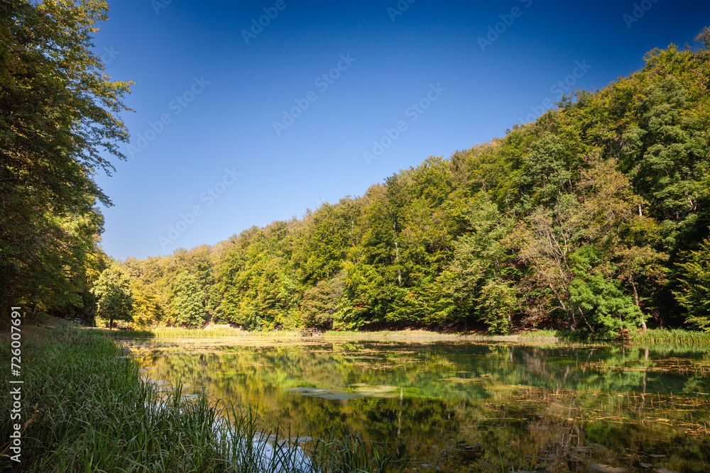 Panorama of the pond Jankovac, a small water lake surrounded by trees ...