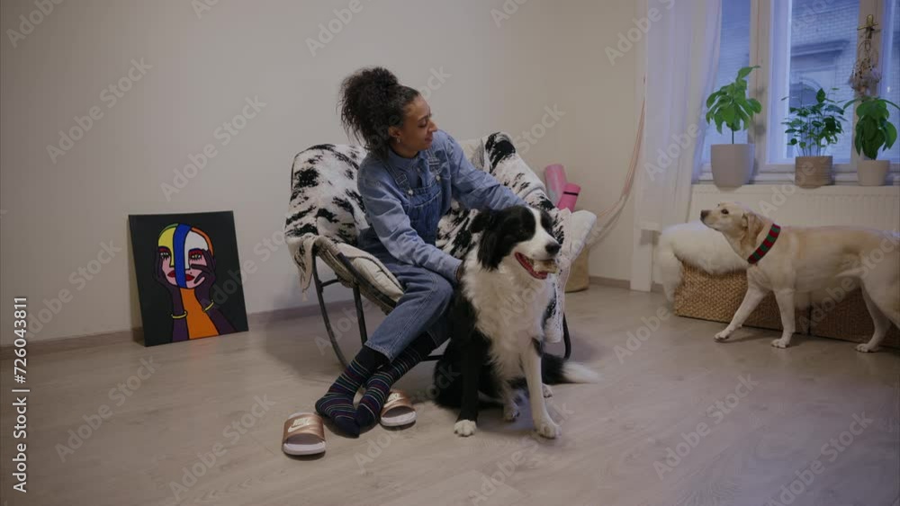 Girl smiling and having fun with dogs at home, border collie enjoying ...