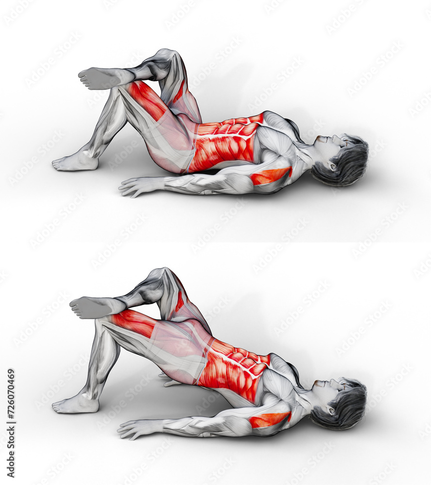 897 Leg Over Knee Glute Bridge. 3D Anatomy of fitness and bodybuilding ...